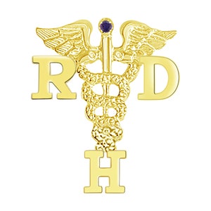 Registered Dental Hygienist RDH 14K Pin - Etsy