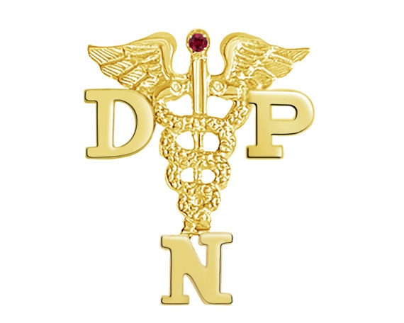 14K Gold DNP Doctor Nursing Practice Pin - Etsy