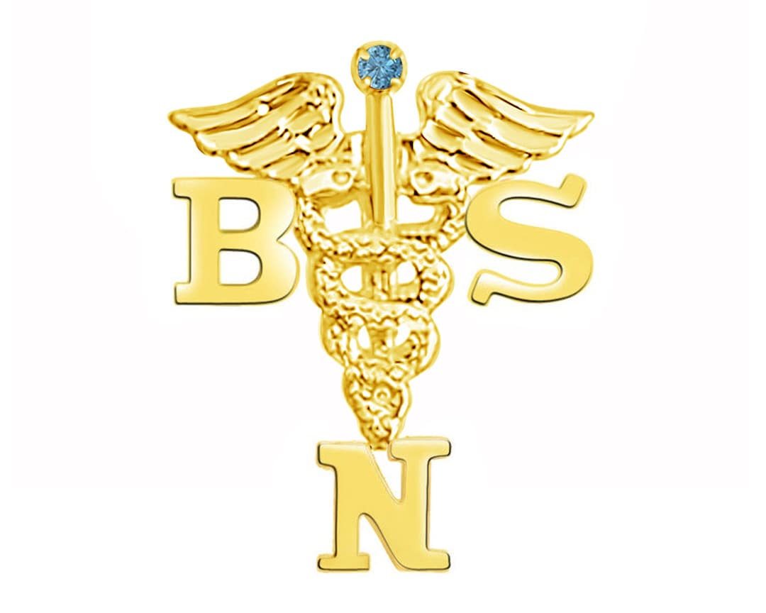 BSN Graduation Nursing Pin in 14K Gold - Etsy