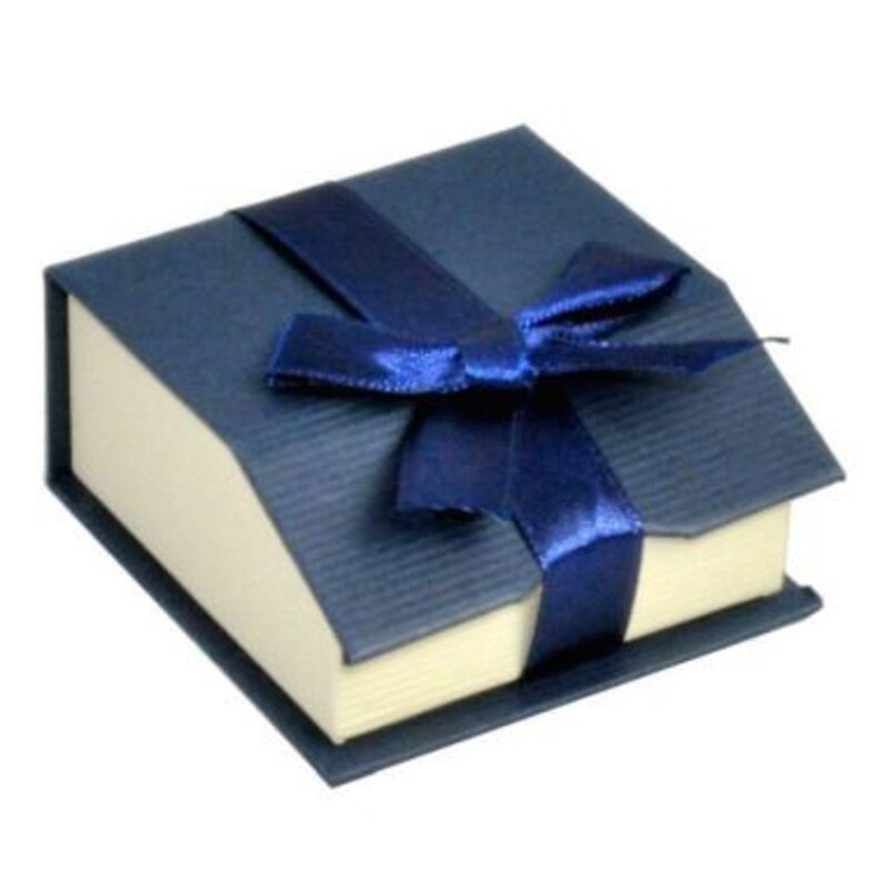 DNP Nursing Pin for Graduation in Silver - Etsy