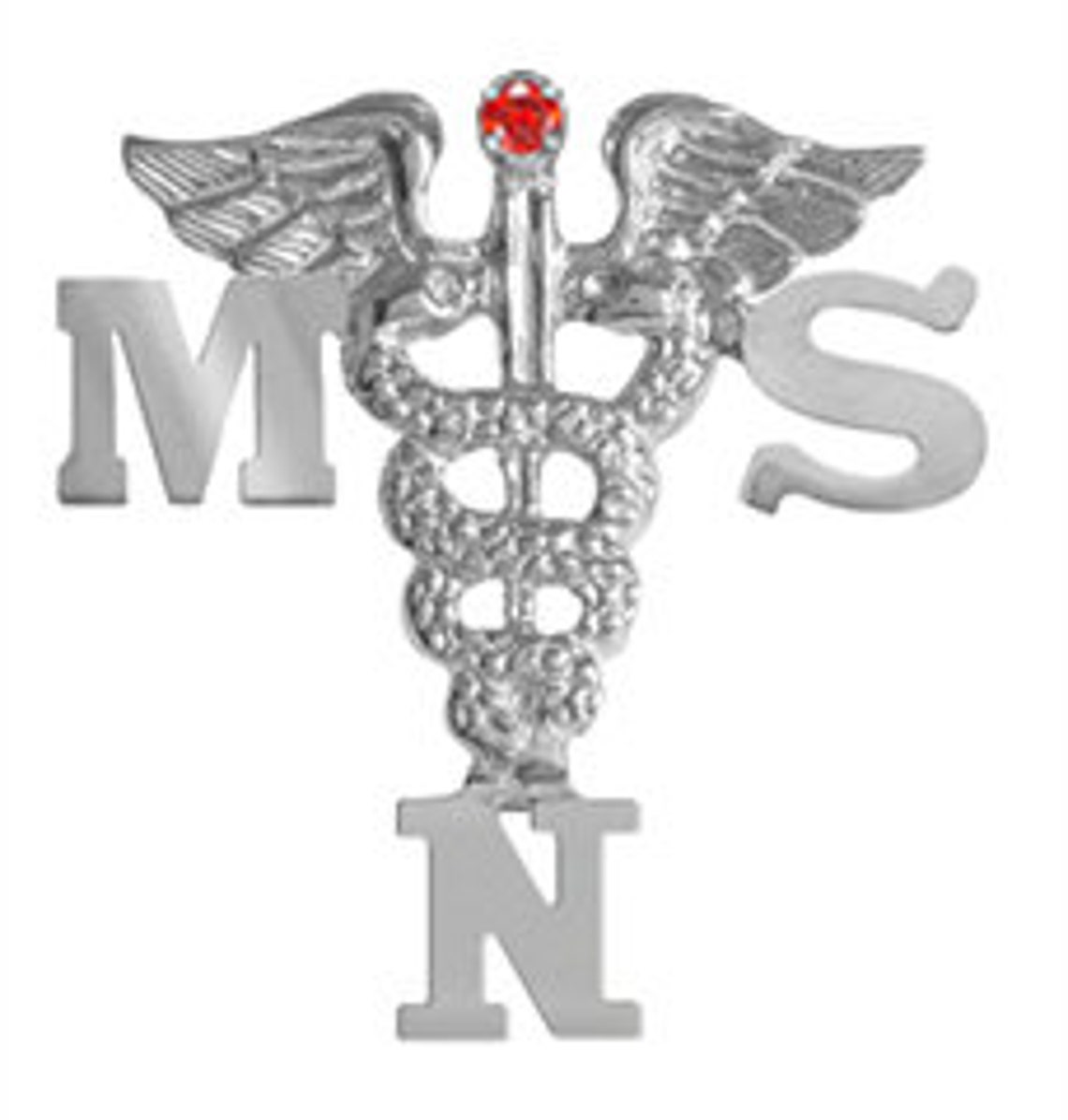 MSN Nursing Pin for Graduation in Silver | Etsy