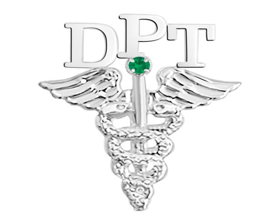 DPT Graduation Pin in Silver Doctor PT | Etsy