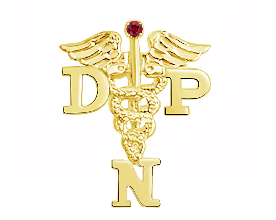 14K Gold DNP Doctor Nursing Practice Pin - Etsy