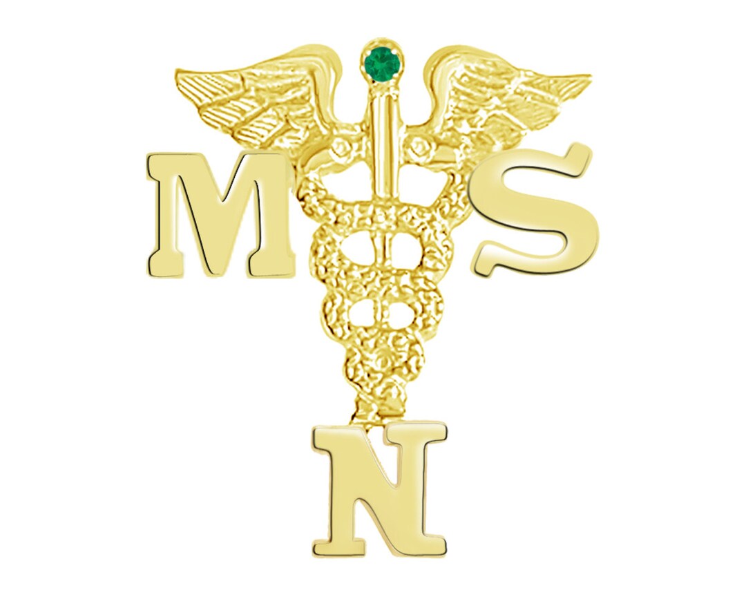 Nursing Pin Masters of Science 14K Gold - Etsy