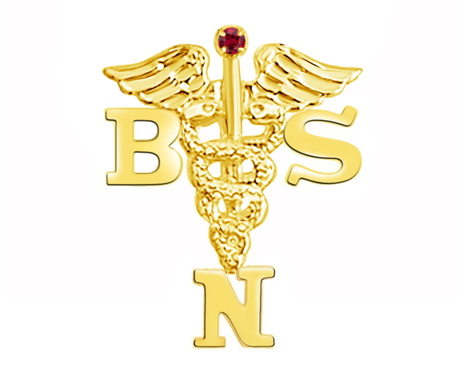 BSN Graduation Nursing Pin in 14K Gold - Etsy