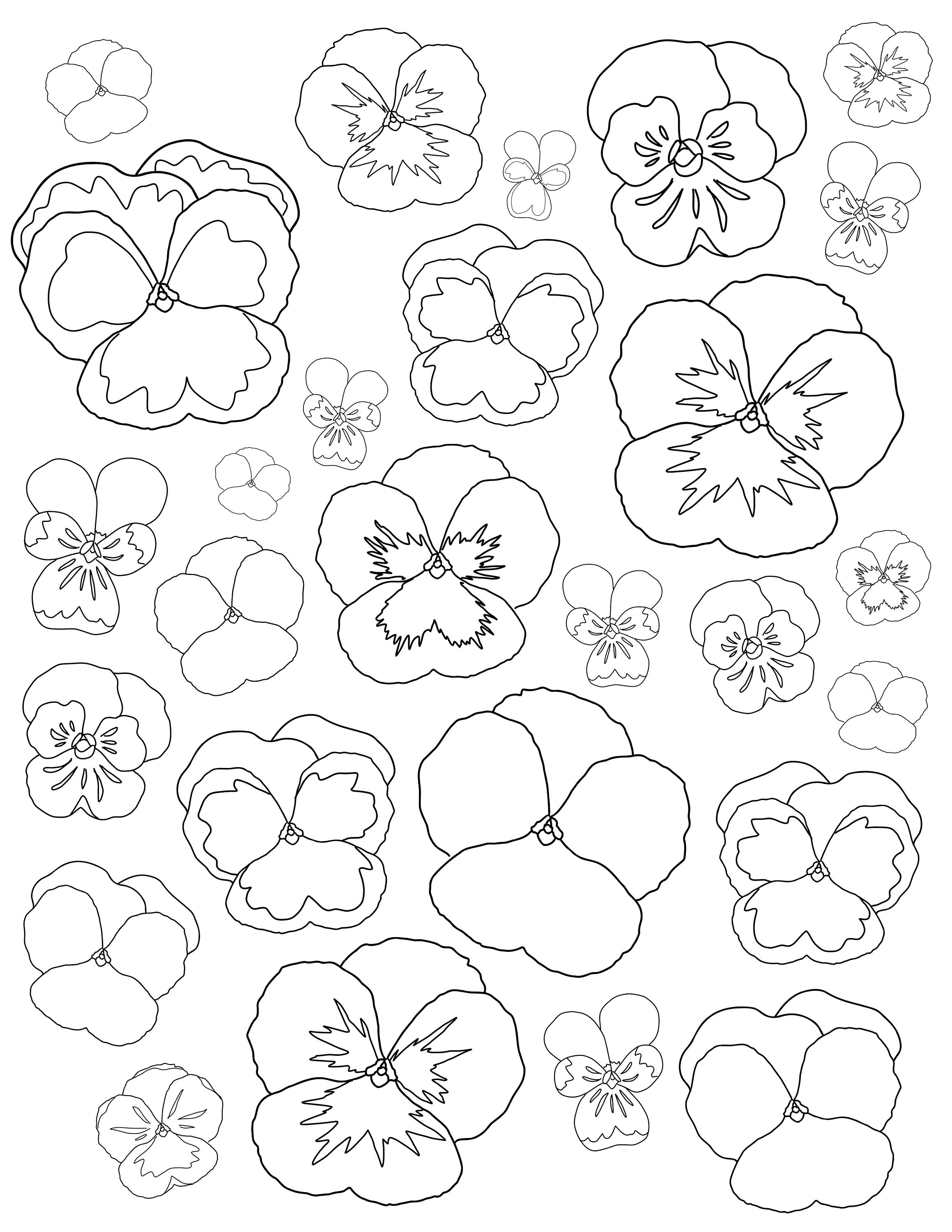 VARIETY - THREE Floral Coloring Pages - Etsy