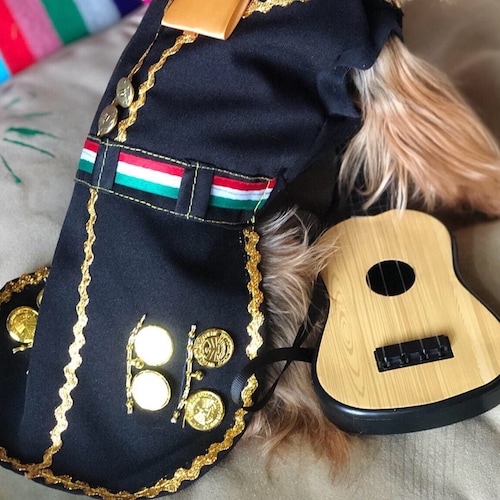 Mariachi Dog Costume/ Mariachi Outfit for Dogs/ Mexican Dog - Etsy