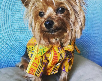 Designer dog clothes | Etsy