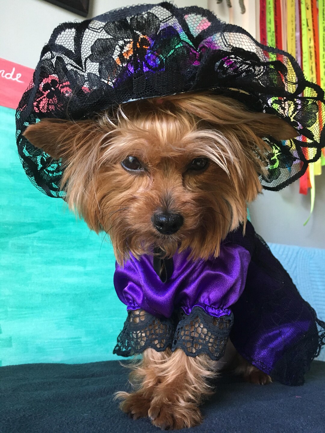 Mexican Dog Catrina Costume/ Day of the Dead Dog Costumes/ Catrina Dog ...