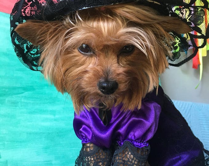 Mexican Dog Catrina Costume/ Day of the Dead Dog Costumes/ Catrina Dog ...