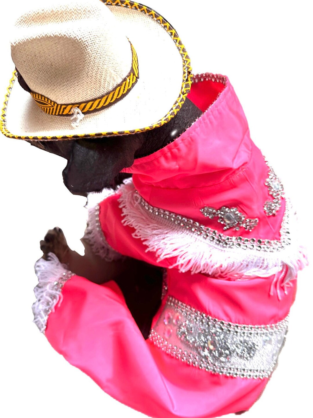 Rodeo Outfit for Dogs/ Rodeo Costume for Dogs/ Pink Rodeo Set - Etsy