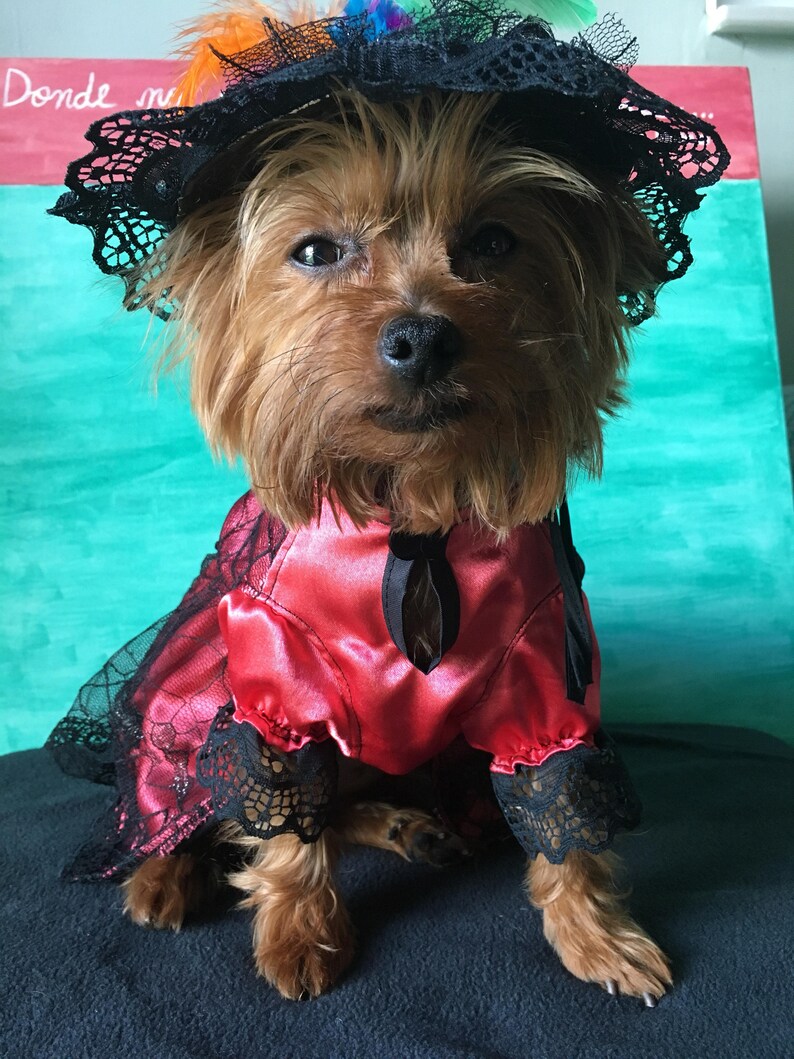 Mexican Dog Catrina Costume/ Day of the Dead Dog Costumes/ | Etsy