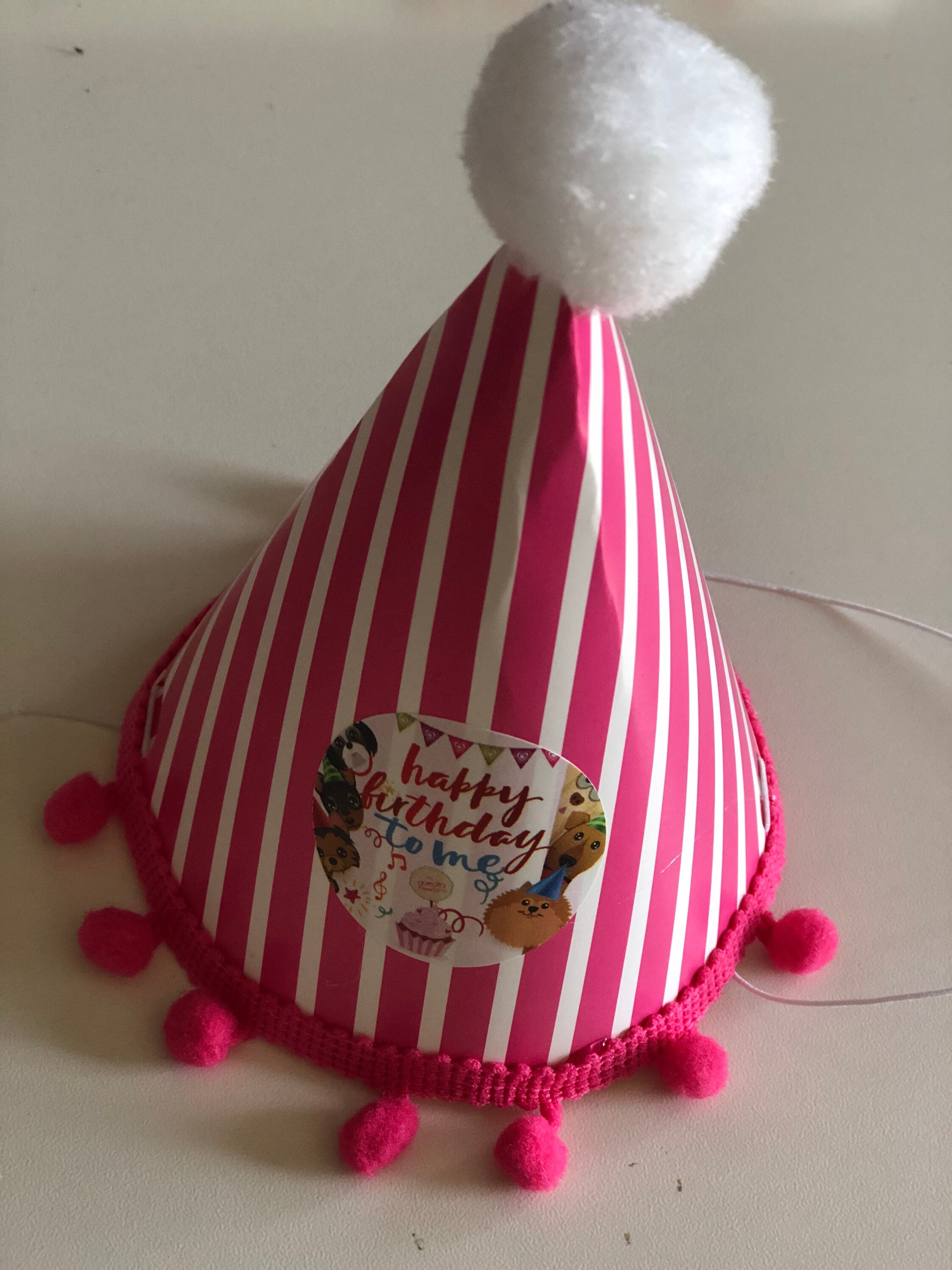 Happy Birthday Hats for Dog/ Party Hats for Dog/ Doh Hats/ Birthday Dog ...