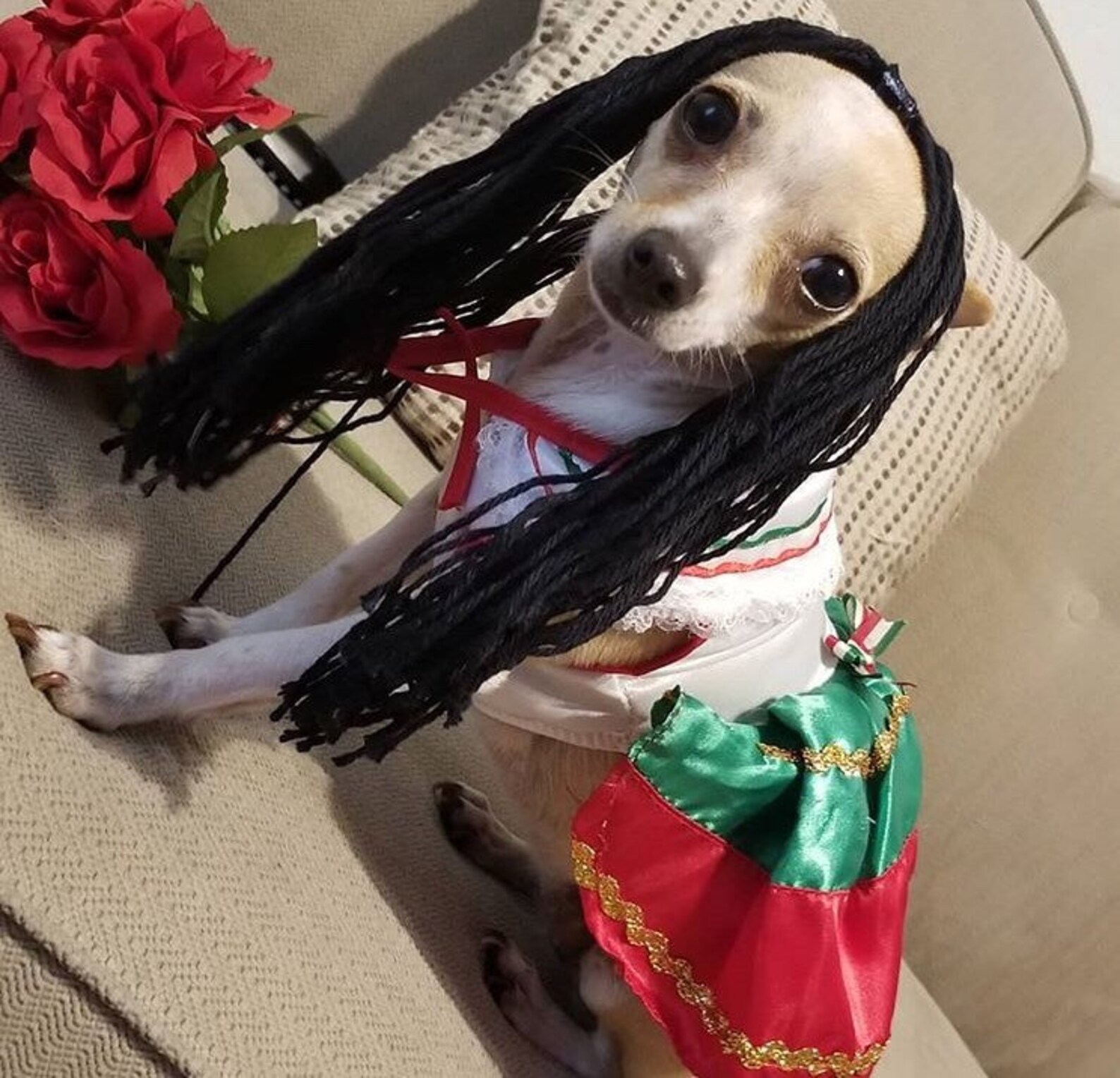 China Poblana Dog Girl Costume/ Mexican Dog Girl Costume/ - Etsy