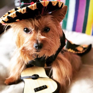 Mariachi Dog Costume/ Mariachi Outfit for Dogs/ Mexican Dog Costume ...