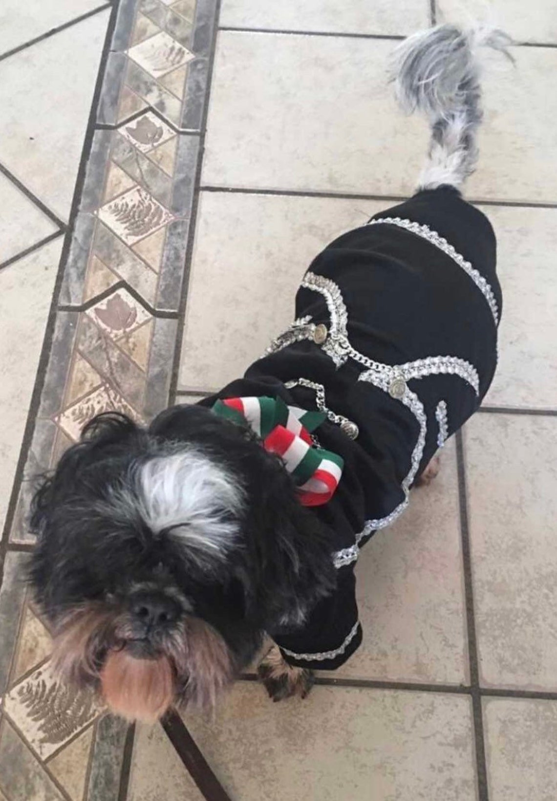 Premium Mariachi Dog Costume / Mariachi Outfit for Dogs/ Mexican Dog ...