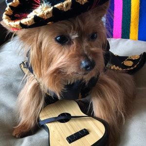 Mariachi Dog Costume/ Mariachi Outfit for Dogs/ Mexican Dog Costume ...
