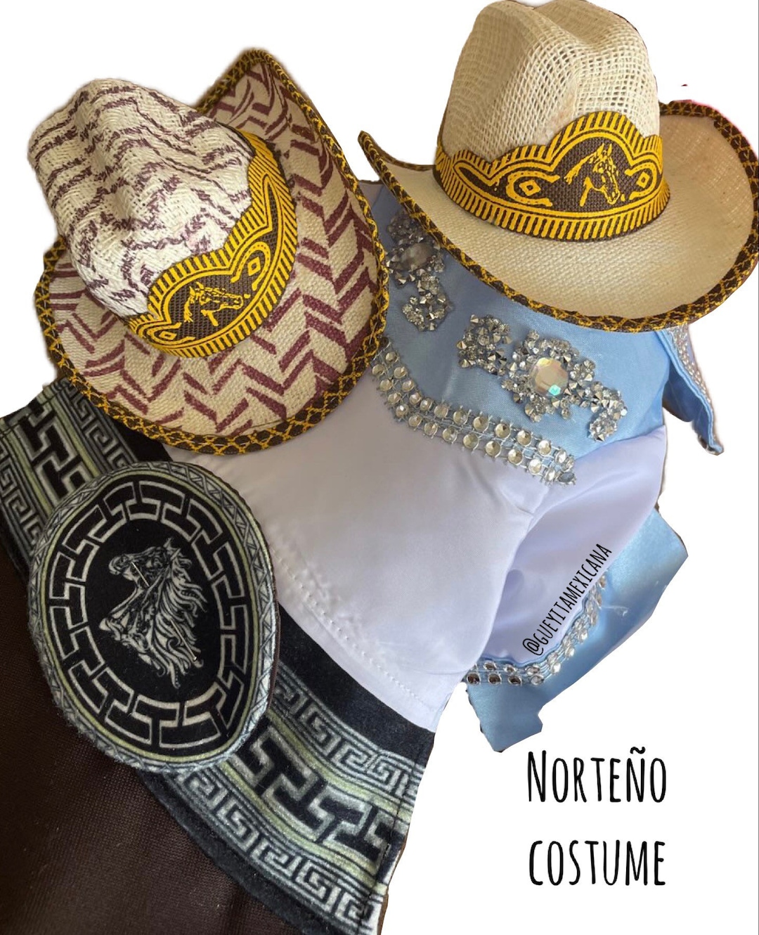 Norteño Outfit for Dog/ Ranchero Outfit for Dog/ Cowboy Dog Costume ...