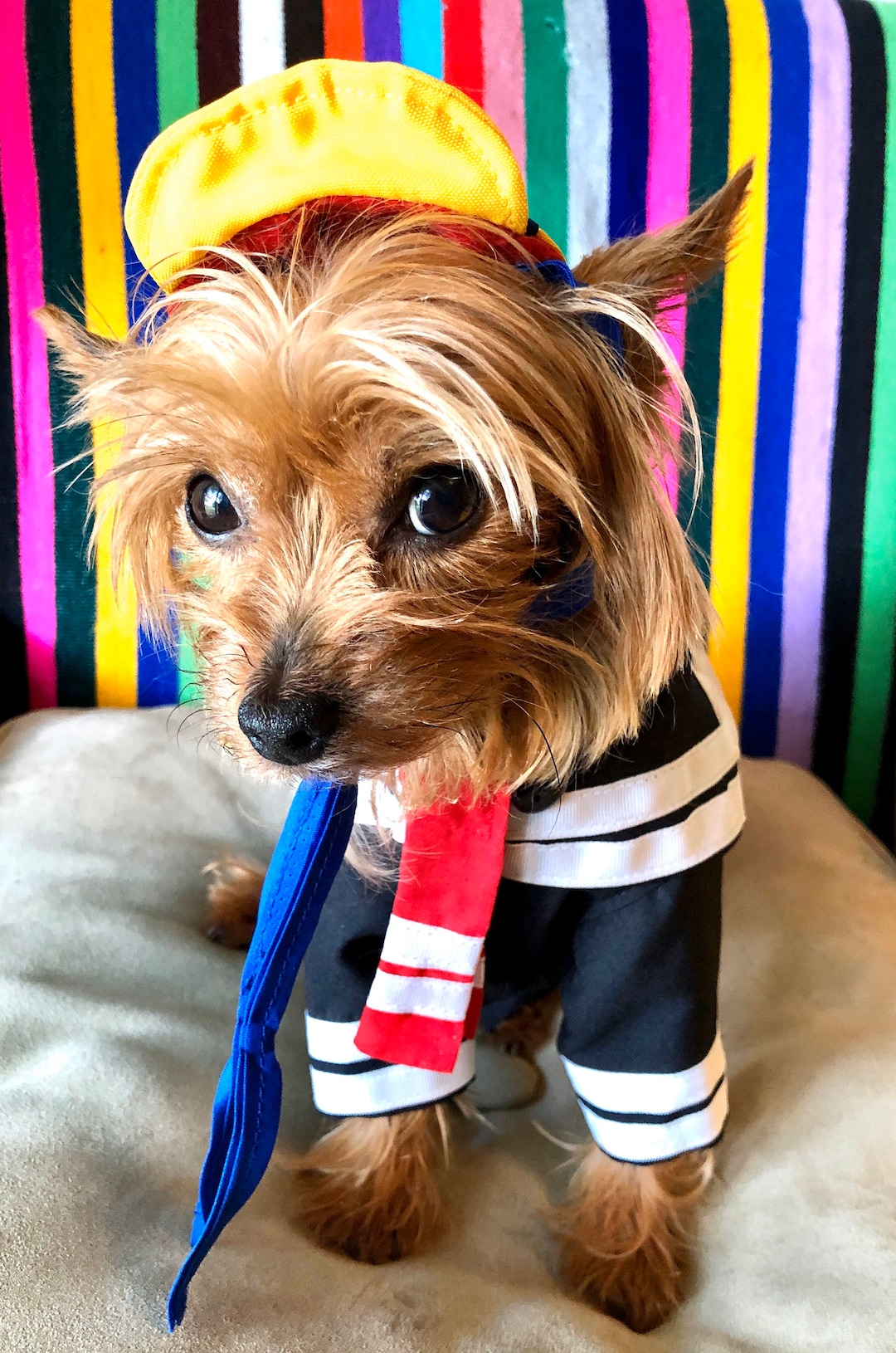 Quico Dog Costume/ Mexican Outfit for Dog/ Mexican Dog Costume / Quico ...