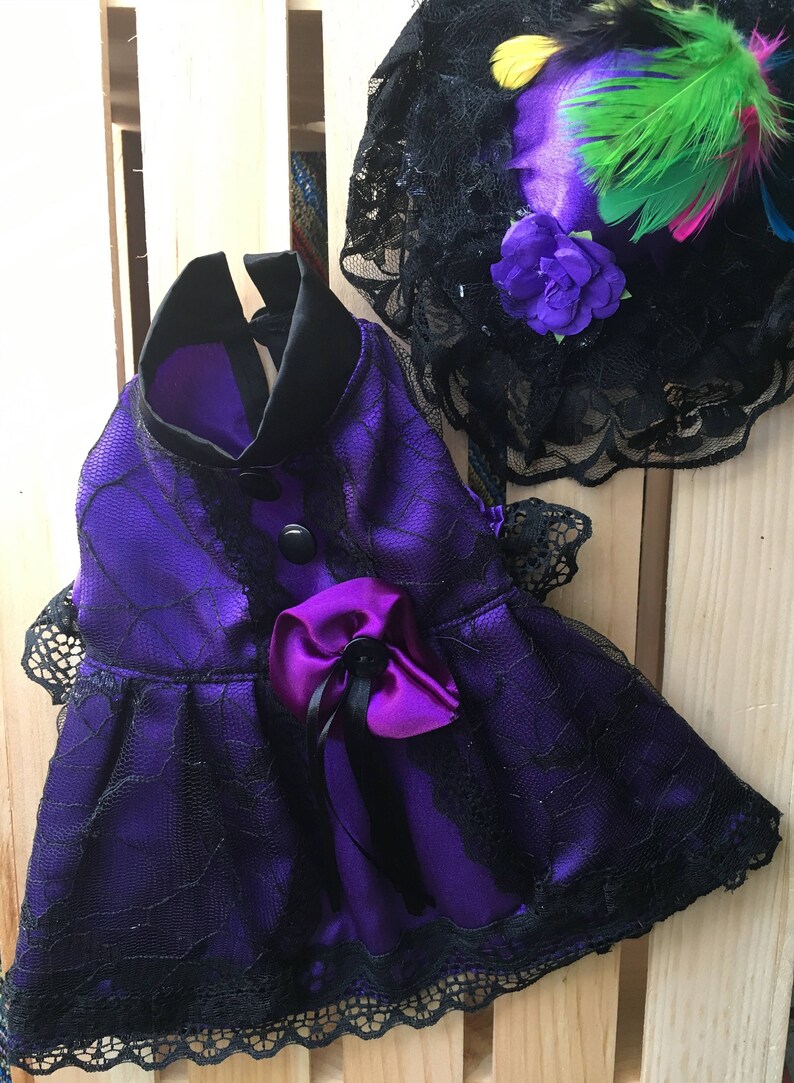 Mexican Dog Catrina Costume/ Day of the Dead Dog Costumes/ | Etsy