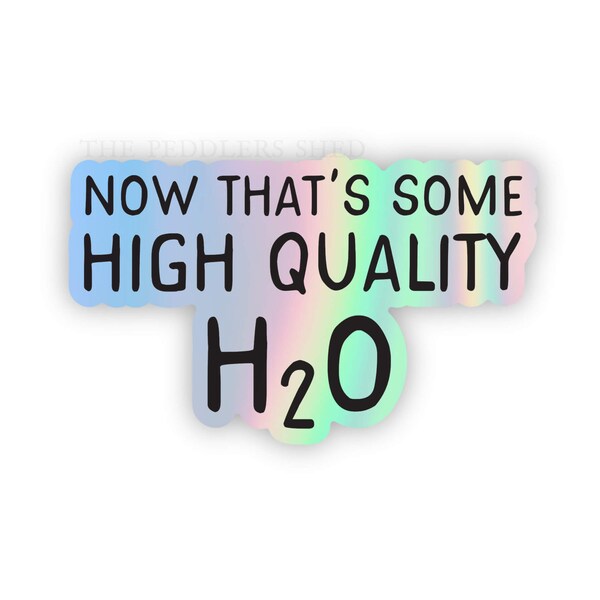 Adam Sandler Waterboy Sticker - Etsy