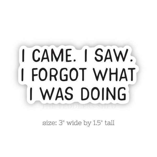 I Came I Saw I Forgot What I Was Doing Mug - Etsy