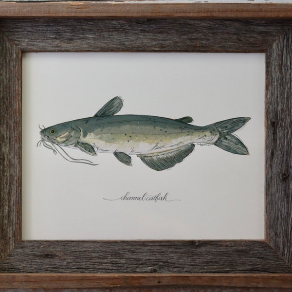 Catfish Art - Etsy