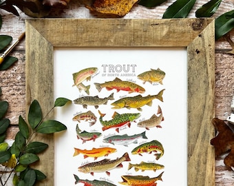 Trout of North America Wall Poster - Etsy