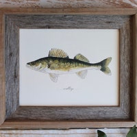 Walleye STL File, CNC Carving Model (digital Download) - Etsy