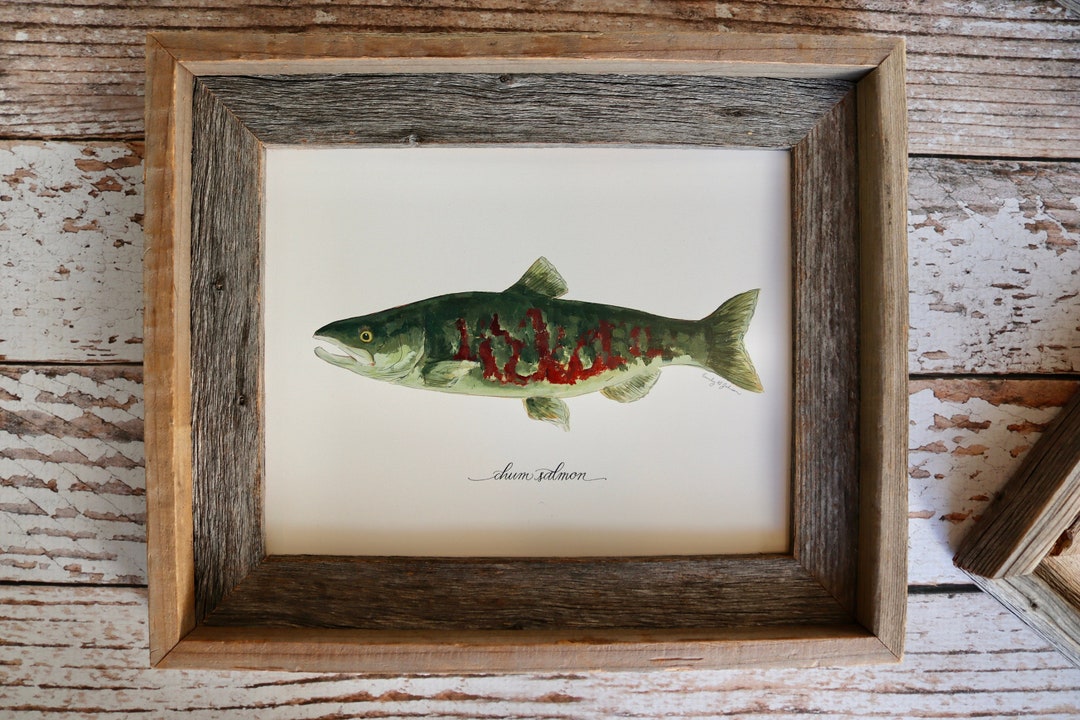 Chum Salmon Art Print | Keta Fish Painting - Etsy