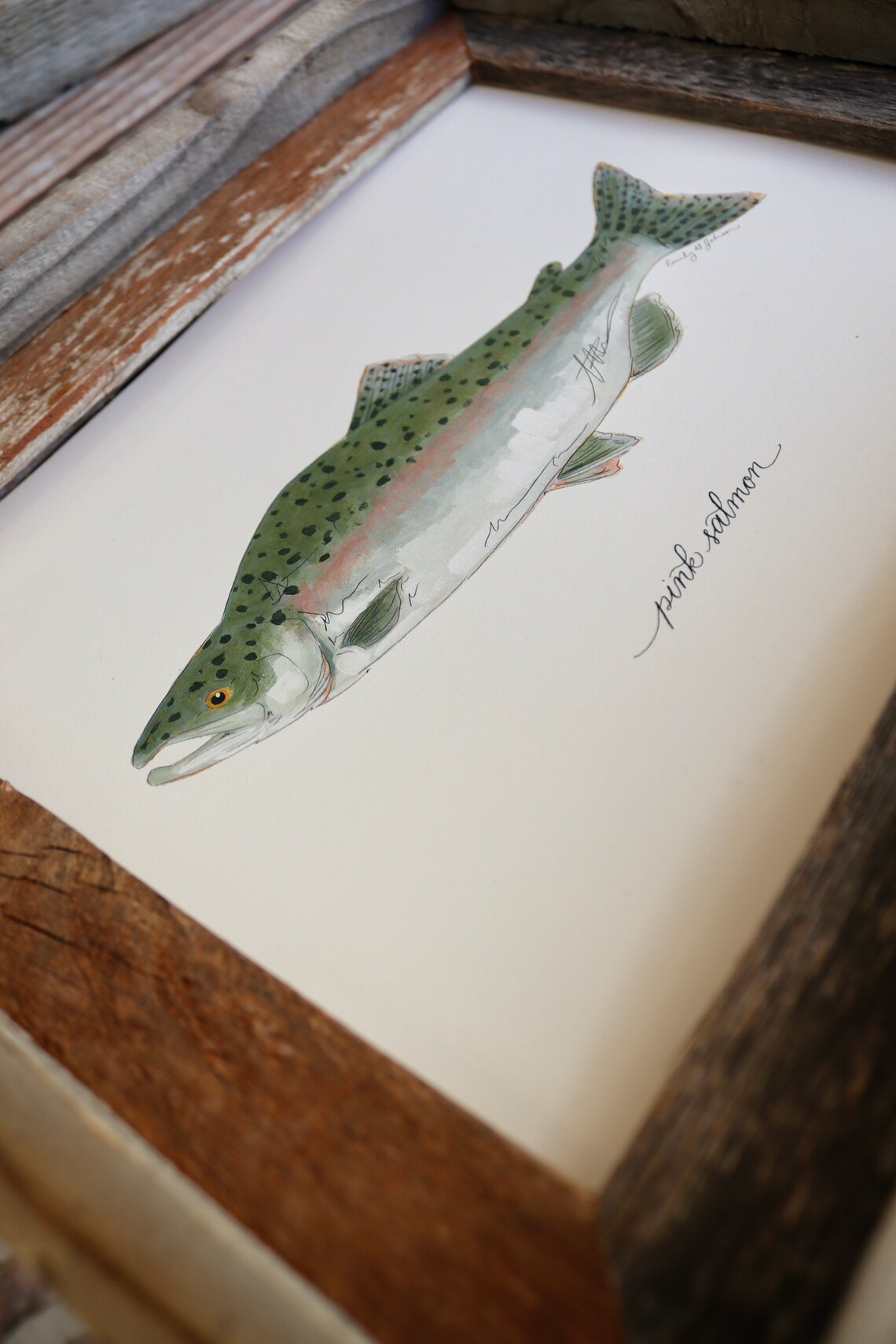 Pink Salmon Humpie Humpy Salmon Salmon Fishing Fish Art - Etsy