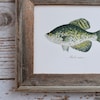 Red Devil Spoon Lure Watercolor Art Print, Fishing Decor for Outdoor ...