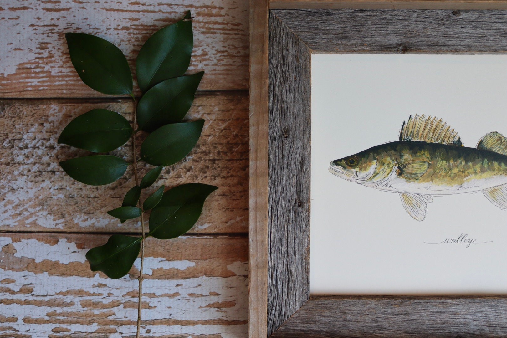 WALLEYE Yellow Pike Fishing Freshwater Fish Lake | Etsy