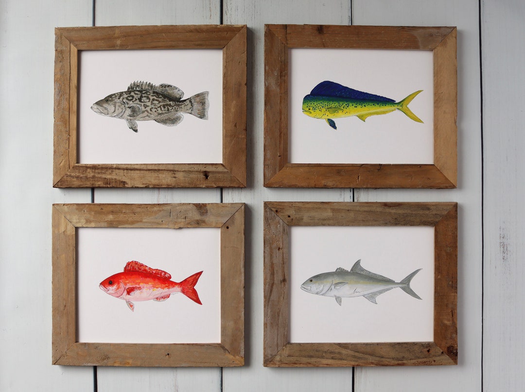 Set of 4 Prints | Mahi-mahi, Snapper, Amberjack, and Grouper - Etsy