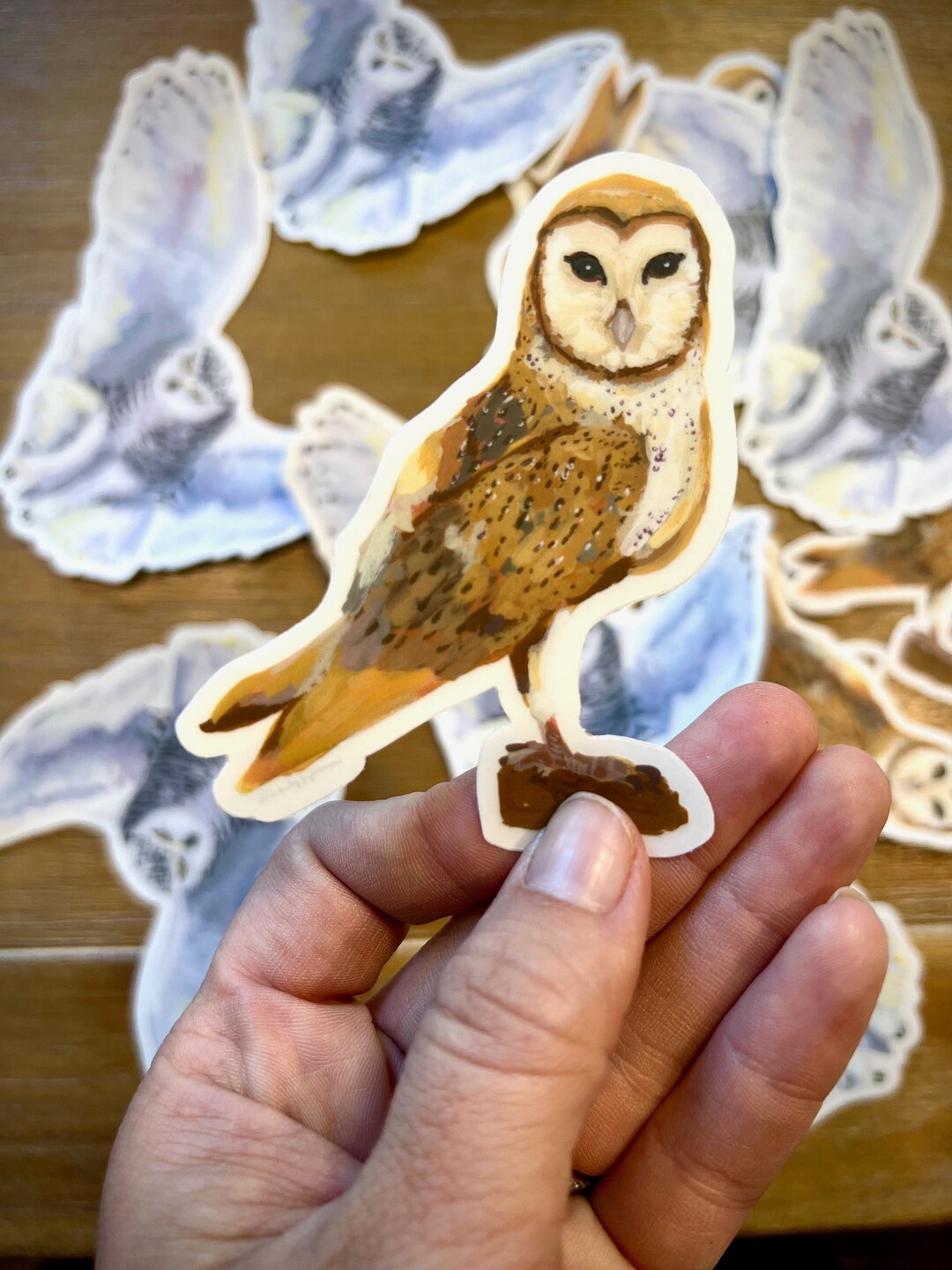Barn Owl Sticker | Owl Decal | Animal Label | Waterproof Bird Sticker ...