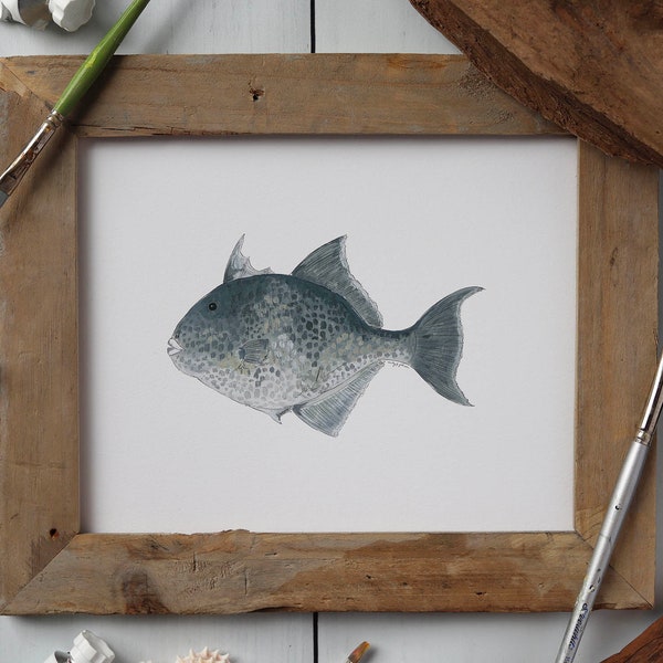 Saltwater Fish Art - Etsy