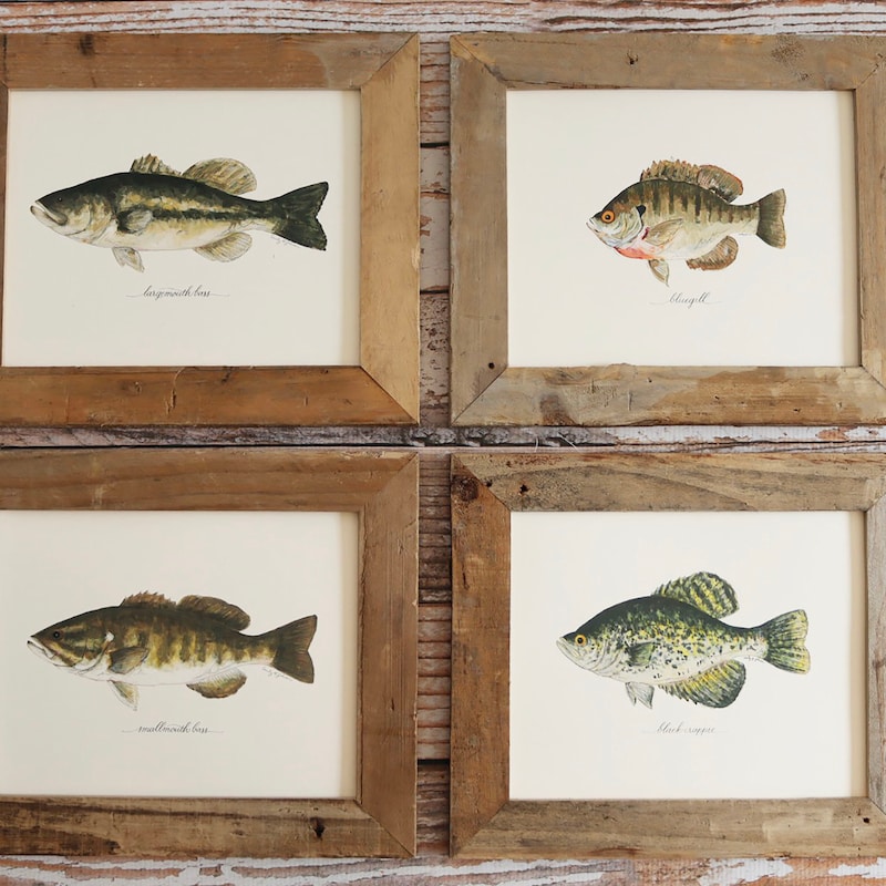 Set of 4 Fish Prints - Etsy
