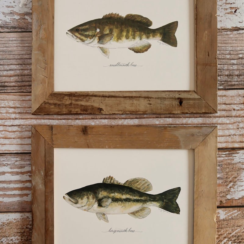 Bass Fishing Poster - Etsy