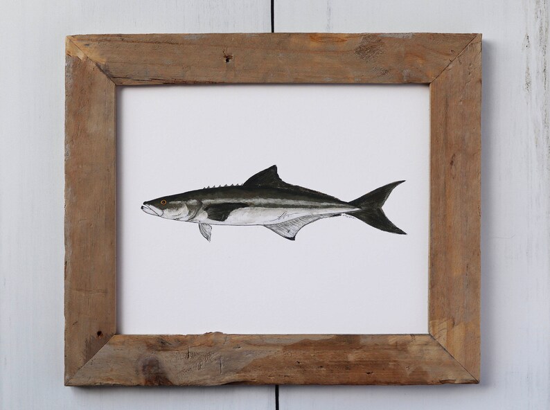 COBIA LEMONFISH LING Fish Art Painting Saltwater Fishing - Etsy