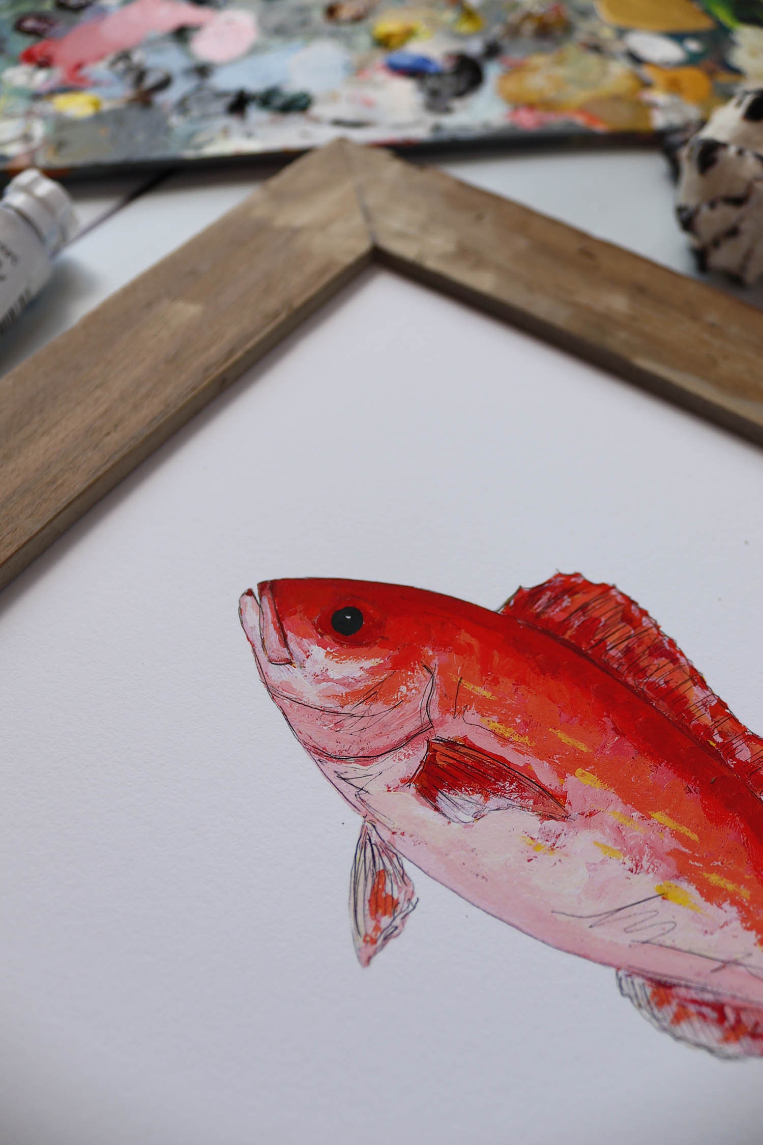 VERMILION SNAPPER BEELINER Fish Art Painting Saltwater | Etsy