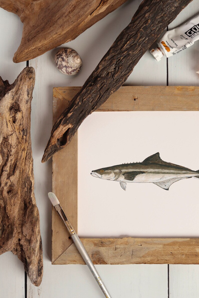 COBIA LEMONFISH LING Fish Art Painting Saltwater Fishing | Etsy