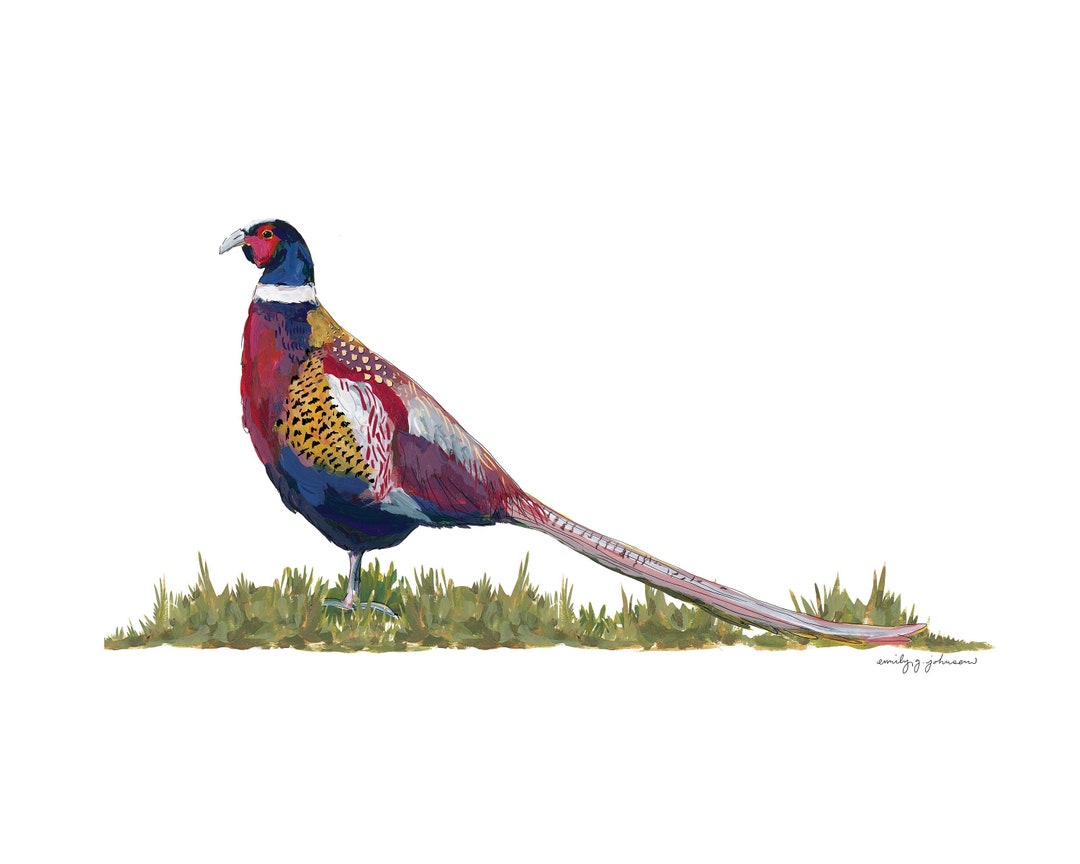 Pheasant Art Print| Traditional Bird Painting | Hunter Wall Decor - Etsy