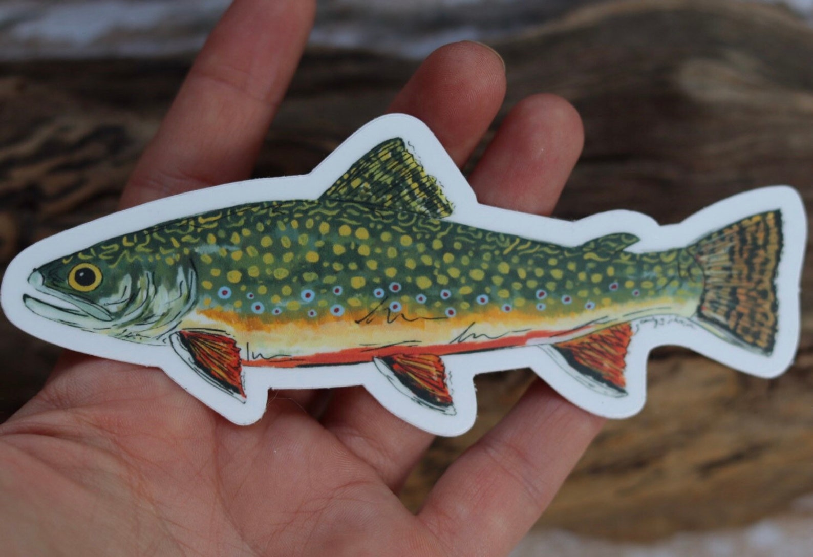 Brook trout sticker fish sticker fish decal trout decal | Etsy