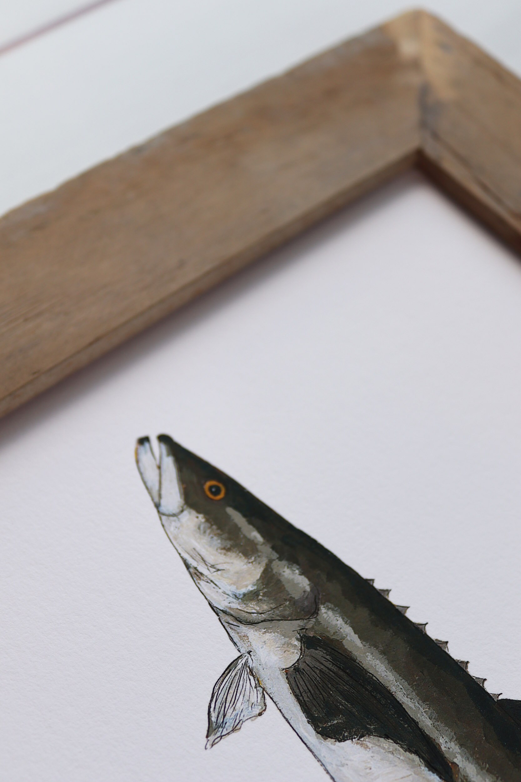 COBIA LEMONFISH LING Fish Art Painting Saltwater Fishing | Etsy