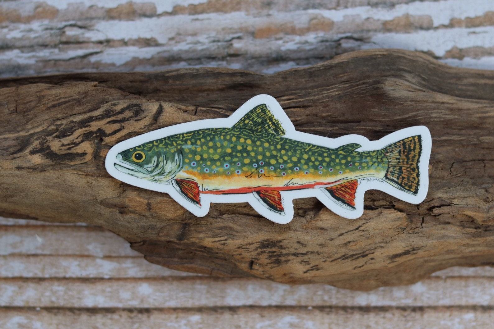 Brook trout sticker fish sticker fish decal trout decal | Etsy