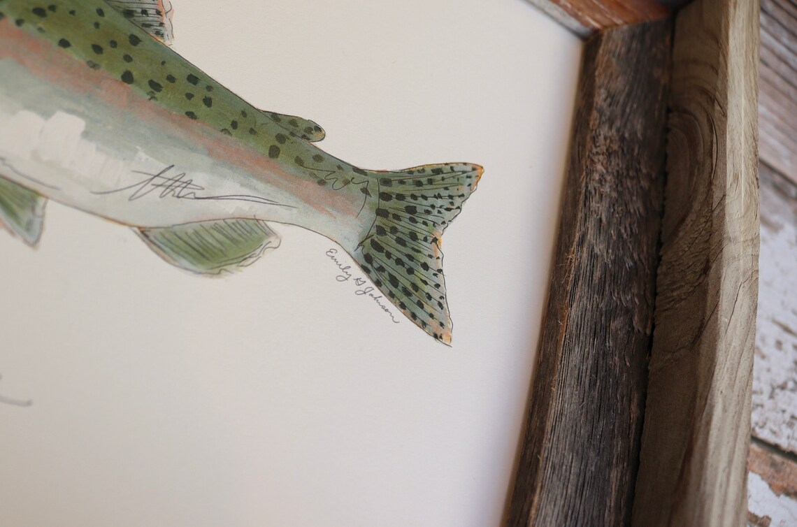 Pink Salmon Humpie Humpy Salmon Salmon Fishing Fish Art - Etsy