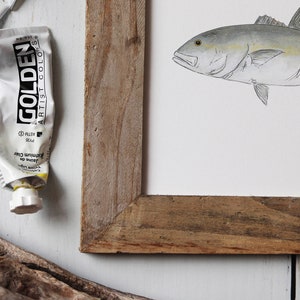 AMBERJACK, Fish Art Painting, Saltwater Fishing, Ocean Art, 8x10, 11x14 ...