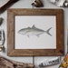 AMBERJACK Fish Art Painting Saltwater Fishing Ocean Art - Etsy