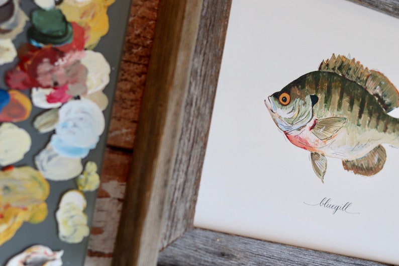 BLUEGILL Bream Fishing Freshwater Fish Lake Cabin Decor - Etsy
