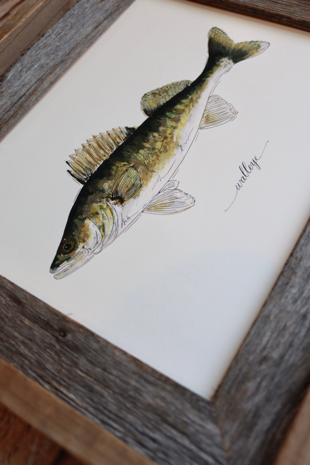 WALLEYE Yellow Pike Fishing Freshwater Fish Lake - Etsy Canada
